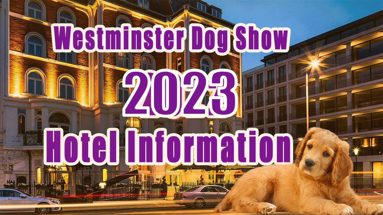How To Buy Westminster Dog Show 2023 Hotel Information