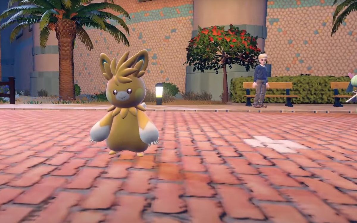 Unleashing the Power of Vs Pink Dog: A Complete Guide - Dog Show TV