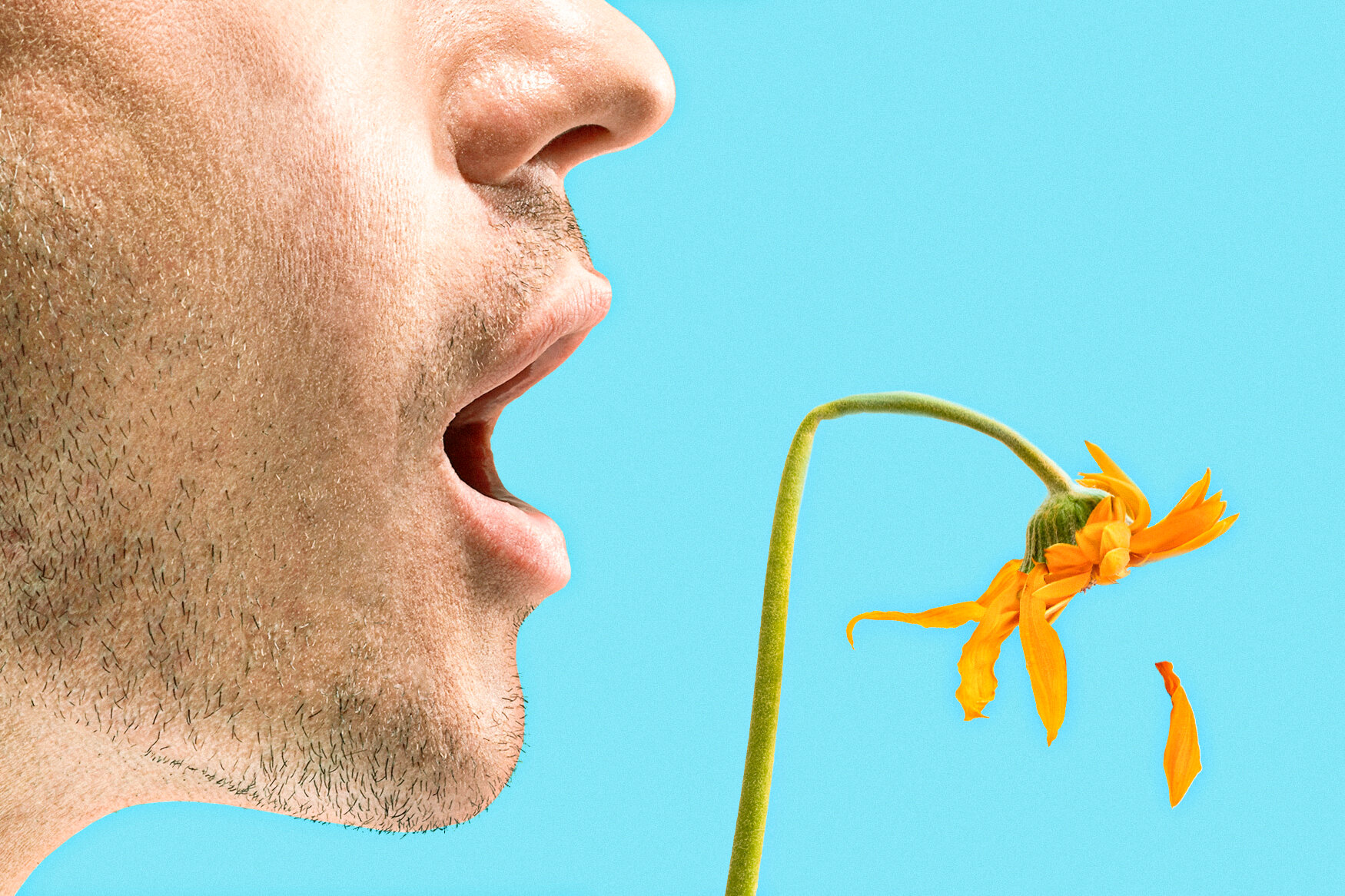 Why Do My Dog'S Breath Smell So Bad : Expert Tips for Freshening Up ...