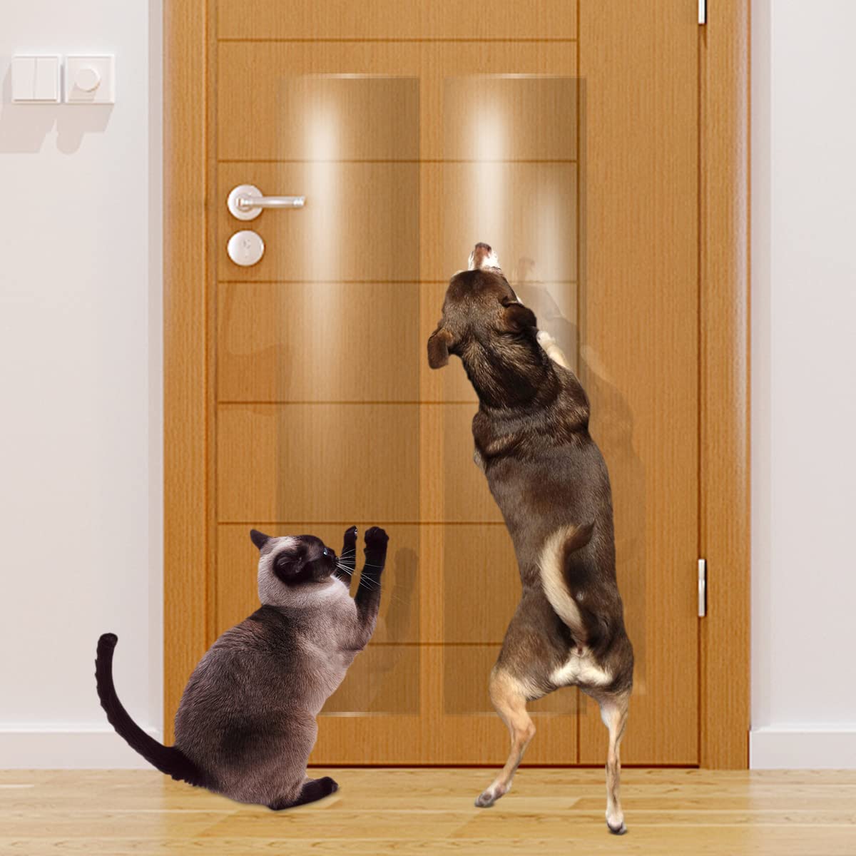 How to Stop a Dog Scratching at the Door: Effective Solutions for a ...