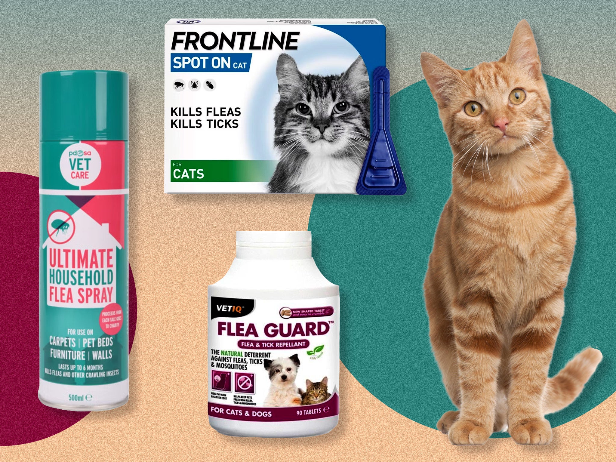 How Soon Can I Give My Dog Another Flea Treatment: Expert Advice - Dog ...