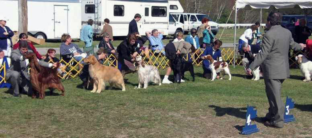 Exciting Dog Show at Fairgrounds: A Pawsome Event for All Pet Lovers ...