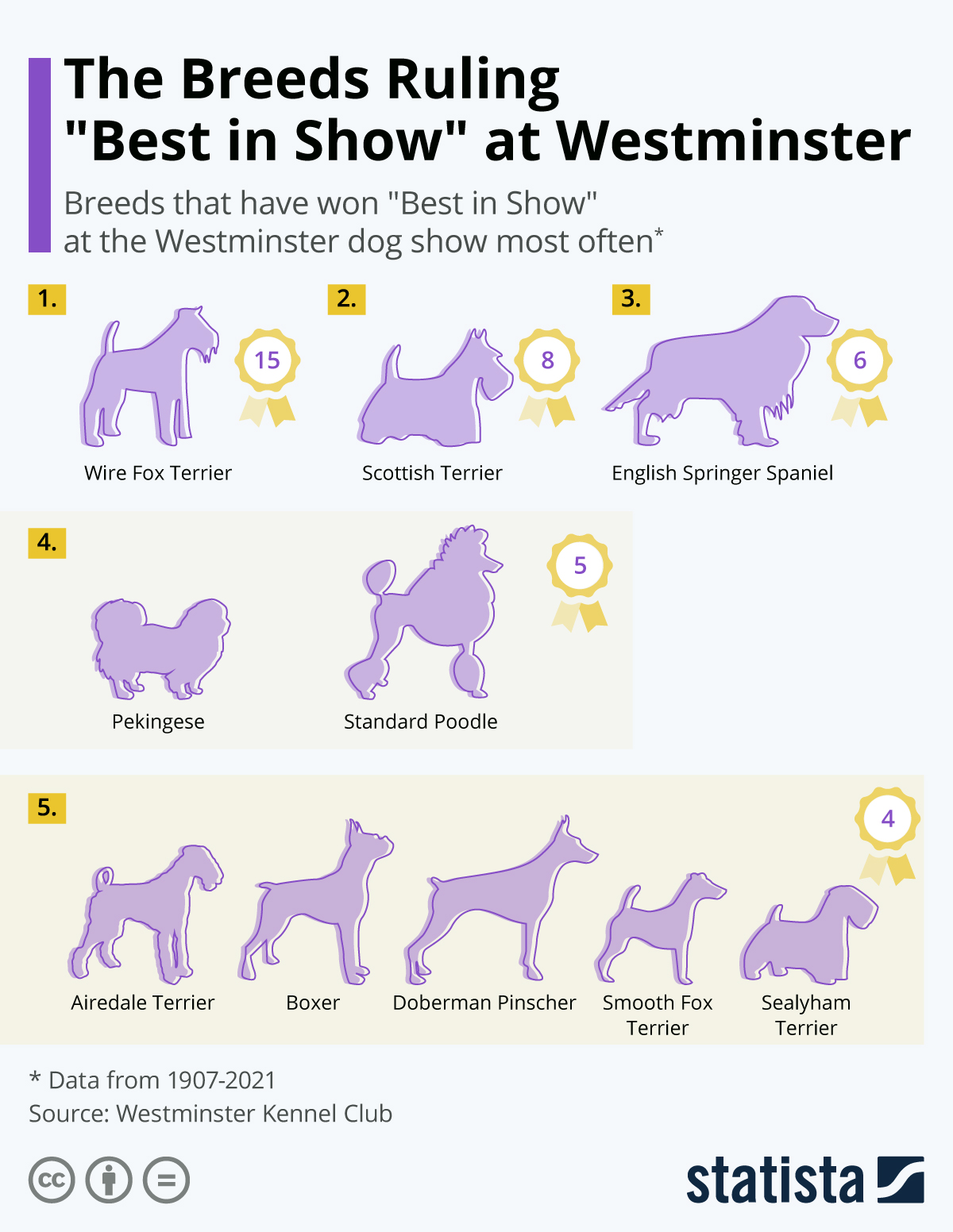 Unleashing the Top Contenders: Best of Show Dog Winners Revealed! - Dog ...