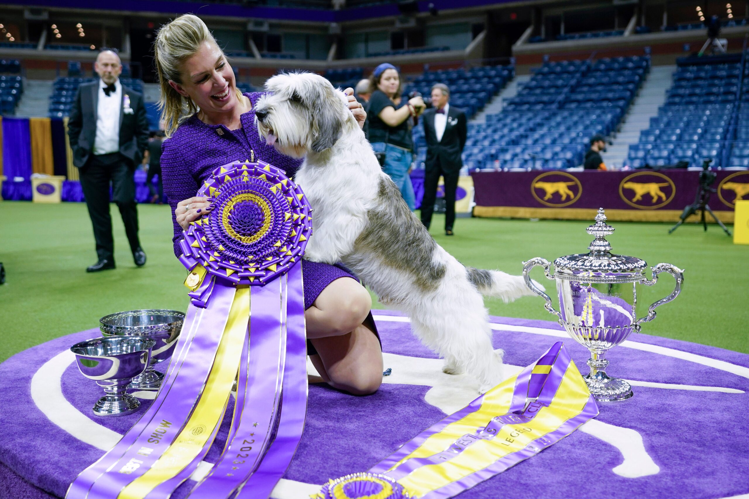 The Top Dogs: Celebrating the Canine Champions of Dog Show Winners