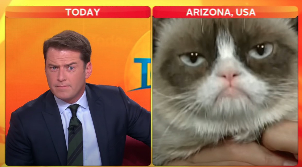 Pawsome Interview Alert: The Today Show's Dog Interview! - Dog Show TV