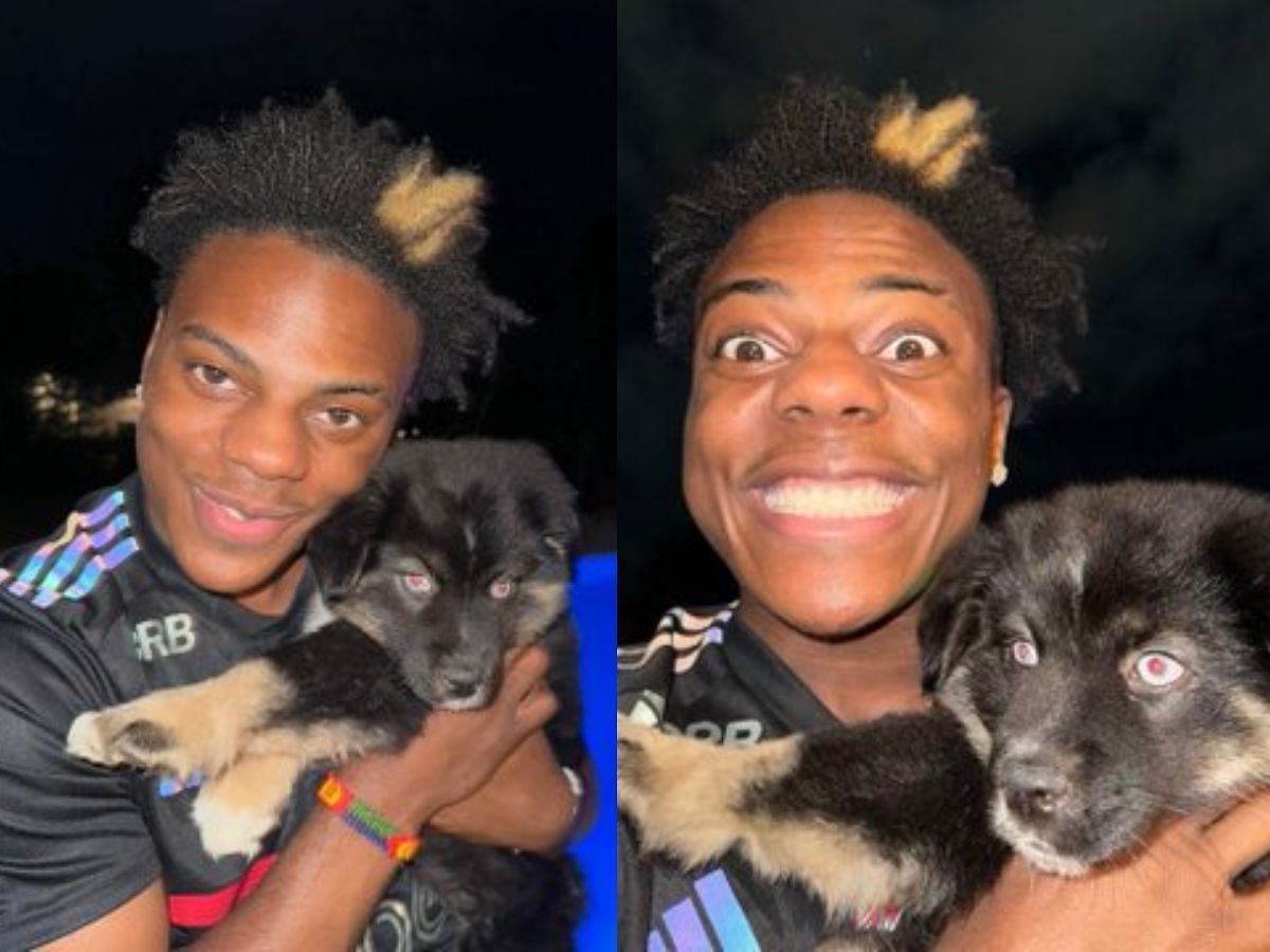 I Show Speed Dog: Unleashing the Fast and Furry Adventures! - Dog Show TV