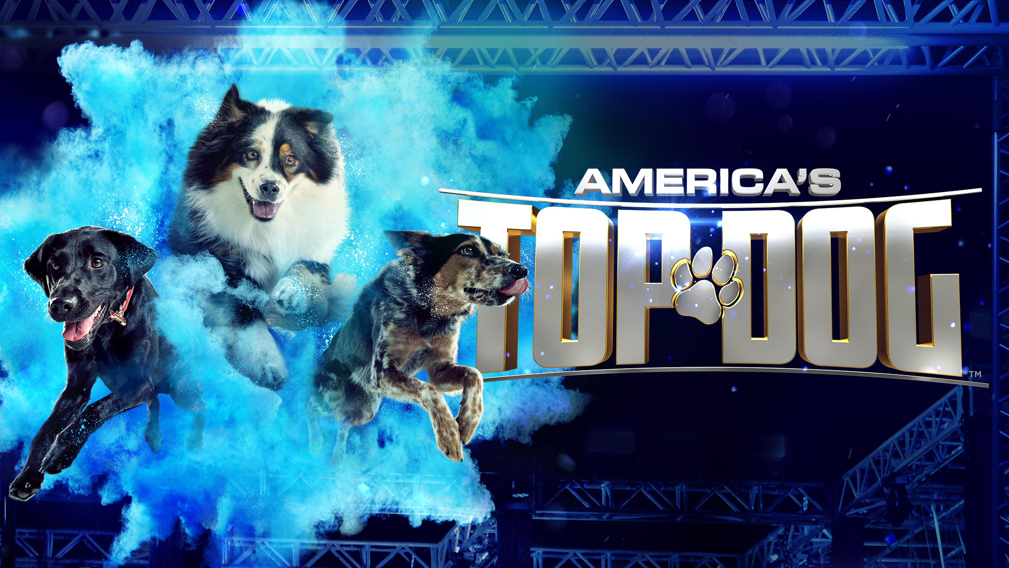 Top Dog TV Show: Unleashing the Best in Canine Entertainment - Dog Show TV