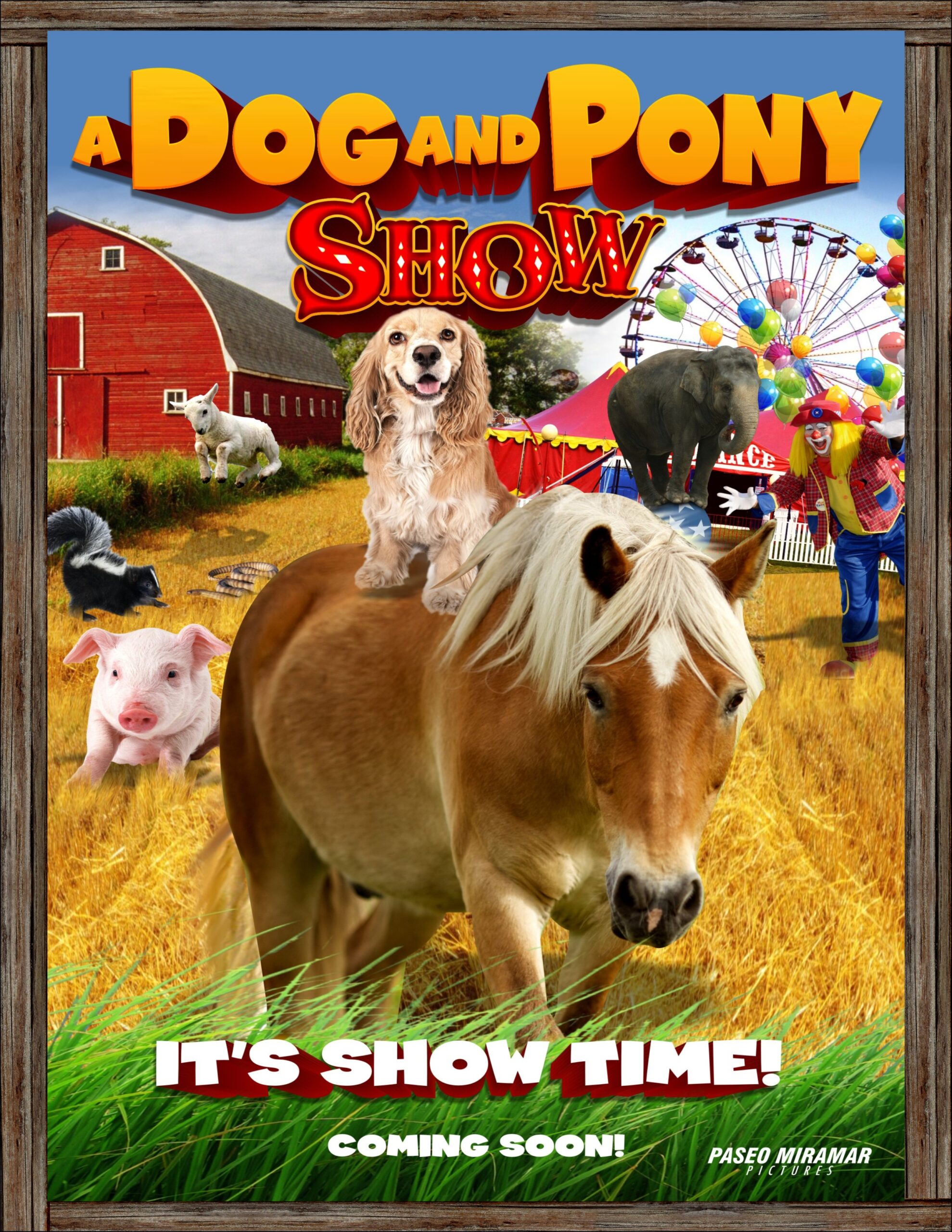 Uncovering the Truth Behind What is a Dog and Pony Show - Dog Show TV