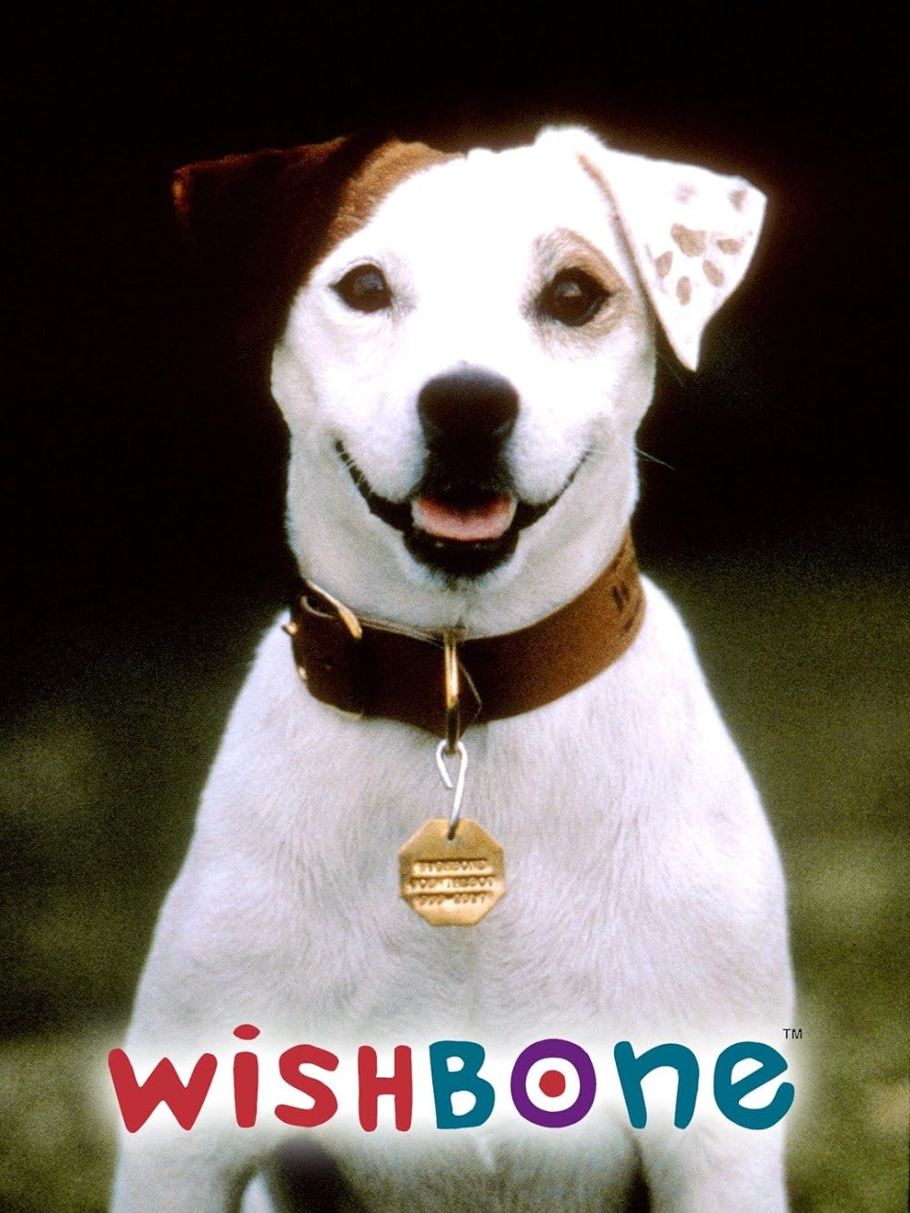 Unleashing Nostalgia: Wishbone Dog TV Show Still a Fan Favorite - Dog ...
