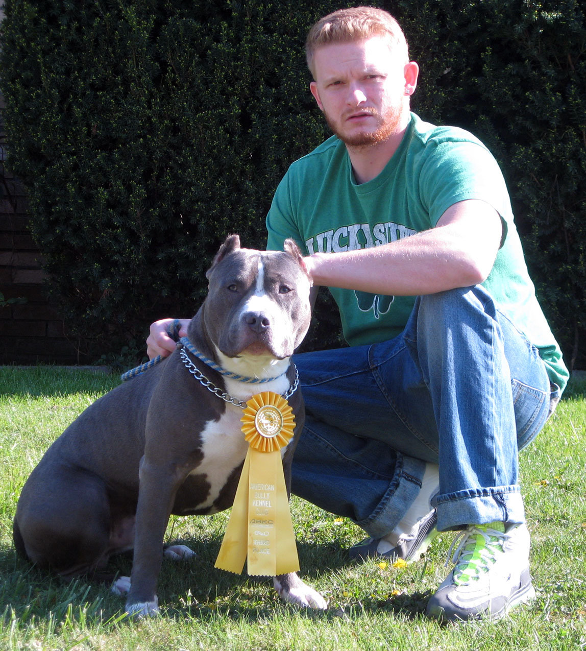 Pitbull Dog Show: The Ultimate Showcase of Canine Excellence! - Dog Show TV