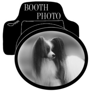 Capturing the Best Moments: Booth Dog Show Photography Unleashed! - Dog ...