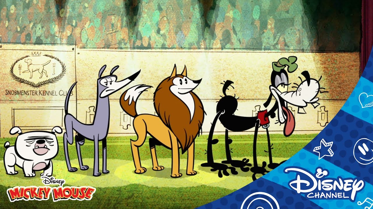 The Ultimate Guide to the Mickey Dog Show: A Pawsome Spectacle of ...