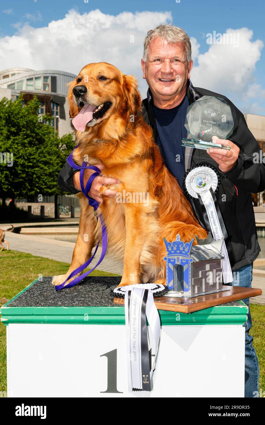 The Ultimate Guide to National Dog Show Voting: Have Your Say Today ...