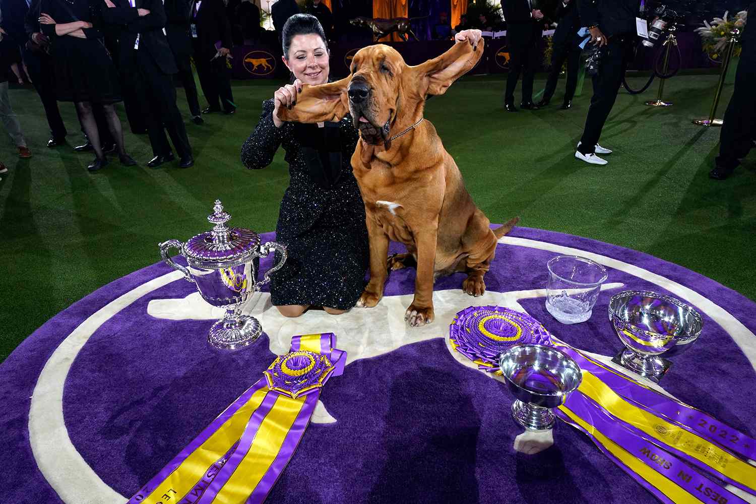The Ultimate Guide to Westminister Dog Show Winners: Uncover the ...