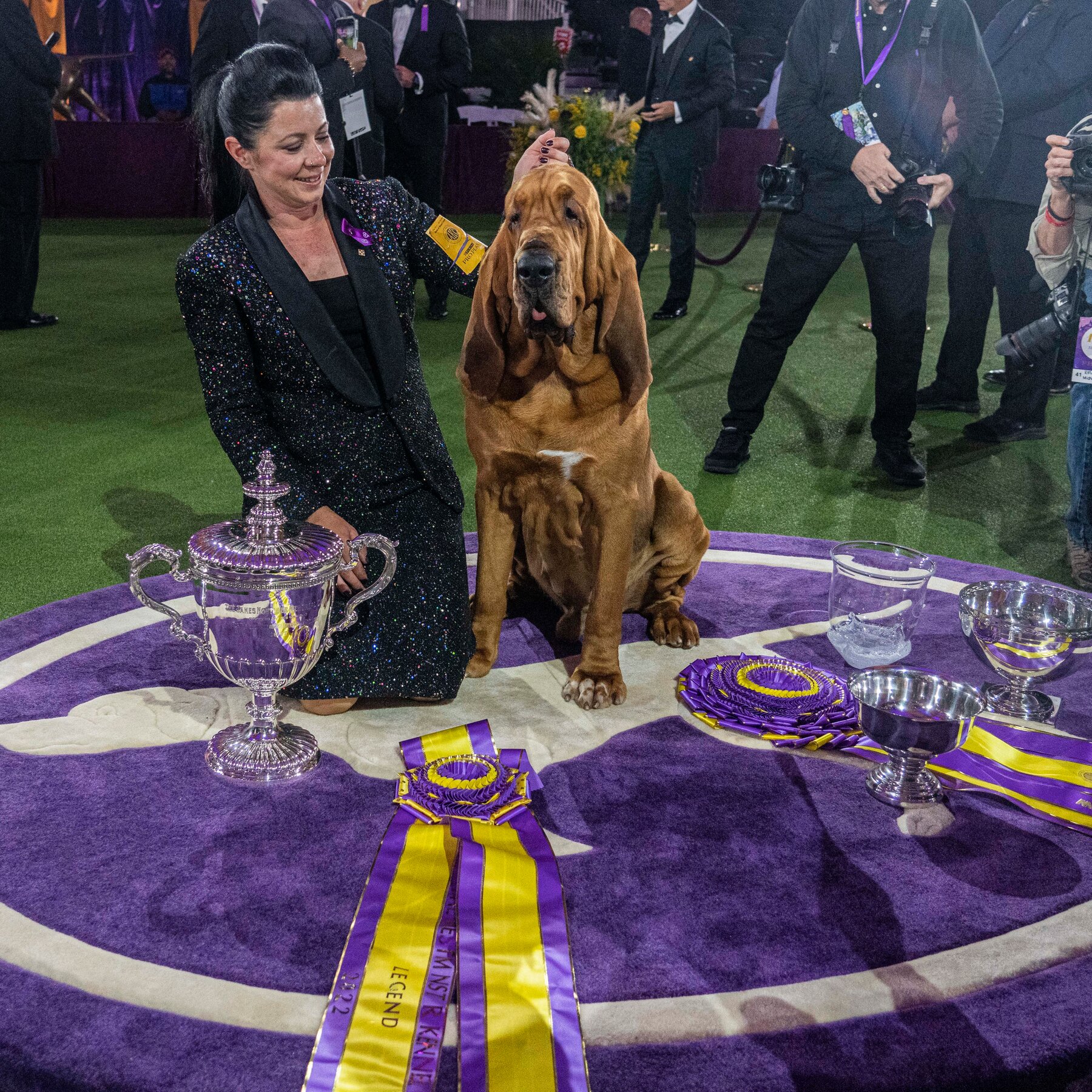 The Unleashed Excitement of the Westminster Dog Show - Dog Show TV