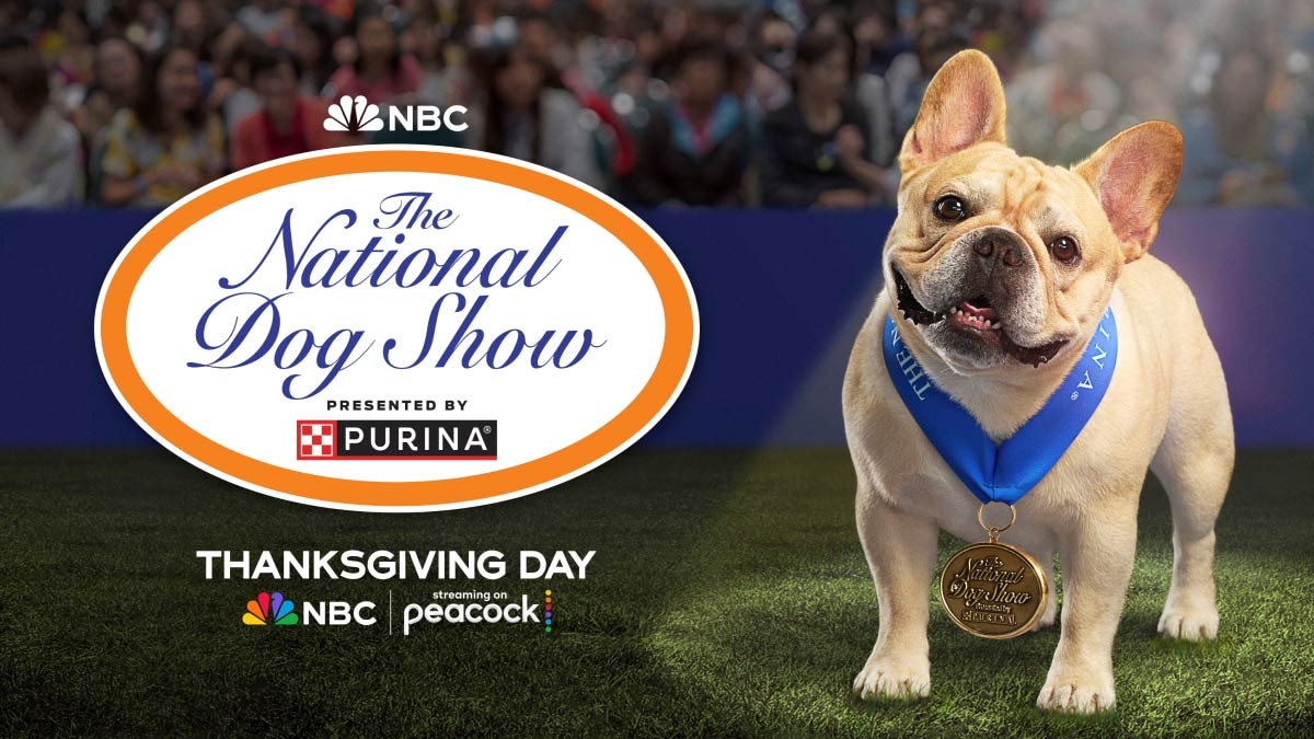 Dive into the World of Dog Show Streaming: Watch the Best Canine ...