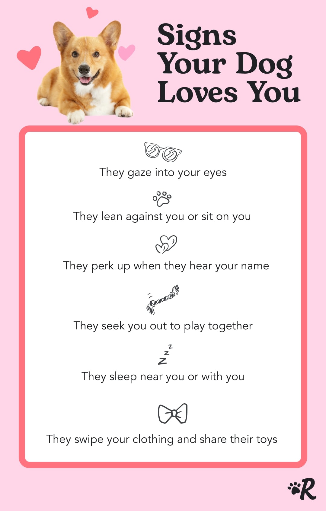 Unleashing Love: How to Show Your Dog Affection - Dog Show TV