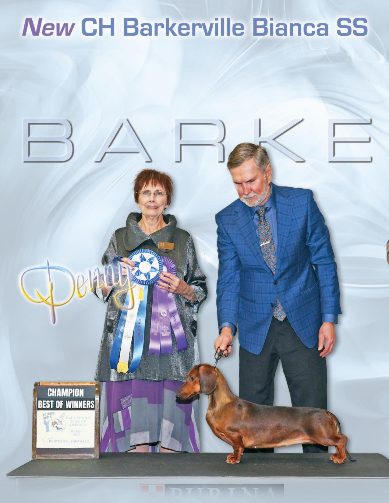 National Dog Show 2025: Dashing Dachshunds Take Center Stage! - Dog Show TV