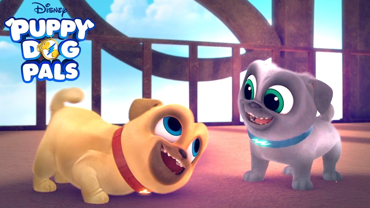 Bark and Roll: Top Dog Cartoon Shows to Watch Now - Dog Show TV