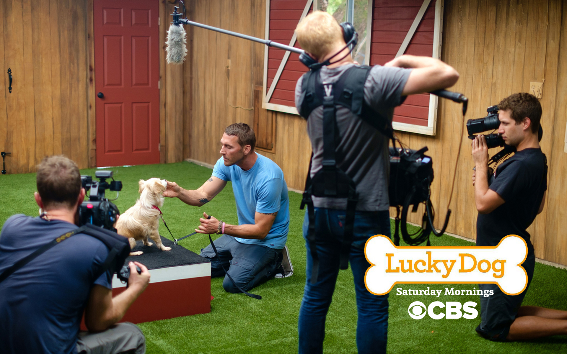 Unleashing Excitement: Lucky Dog Ranch Show Steals the Spotlight! - Dog Show TV