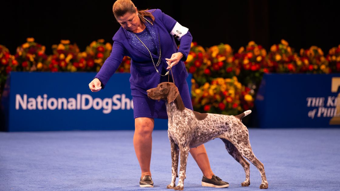Snag Your Philadelphia Dog Show Tickets Today! - Dog Show TV