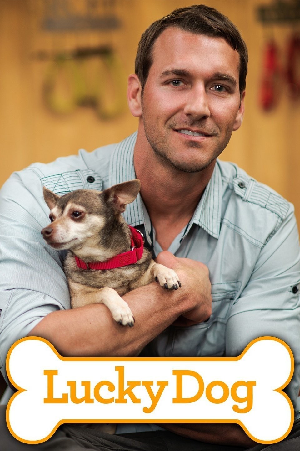 Lucky Dog Show: Unleashing Fun and Furry Competition! - Dog Show TV