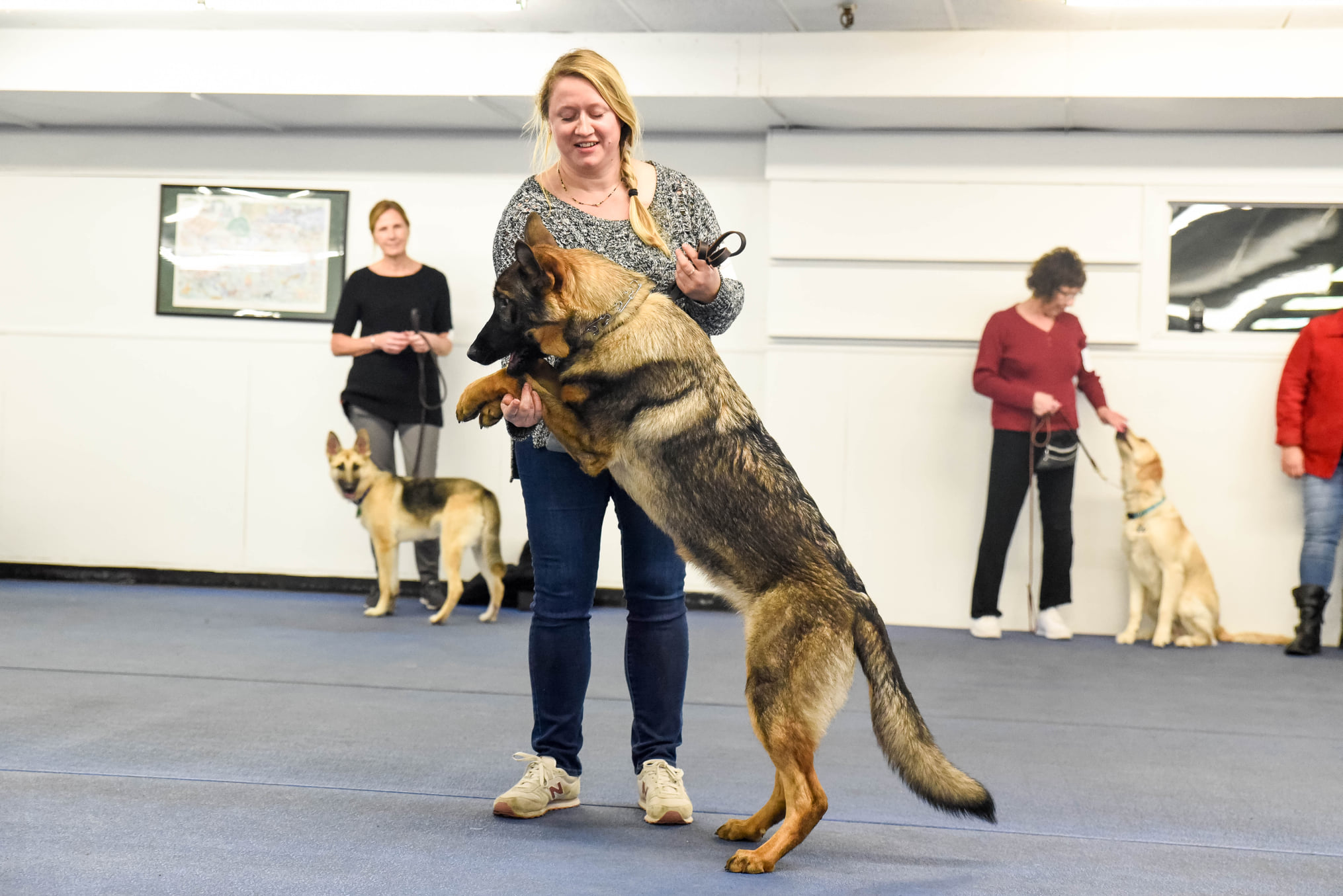 Spectacular Saint Paul Dog Show: A Canine Extravaganza Worth Barking ...
