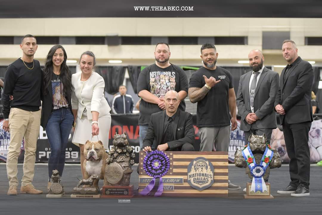 Unleashing the Excitement: Inside the World of ABKC Dog Shows - Dog Show TV