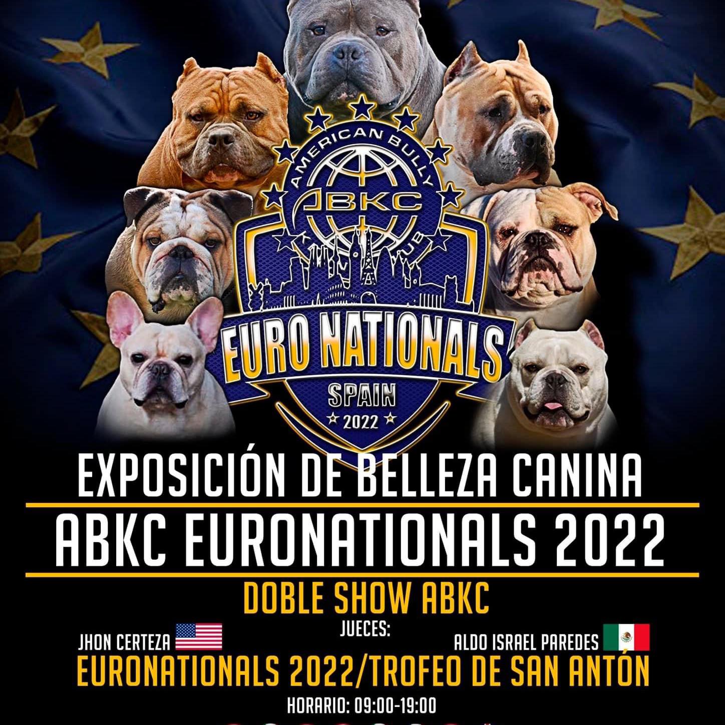 Unleashing the Excitement: A Guide to ABKC Dog Shows