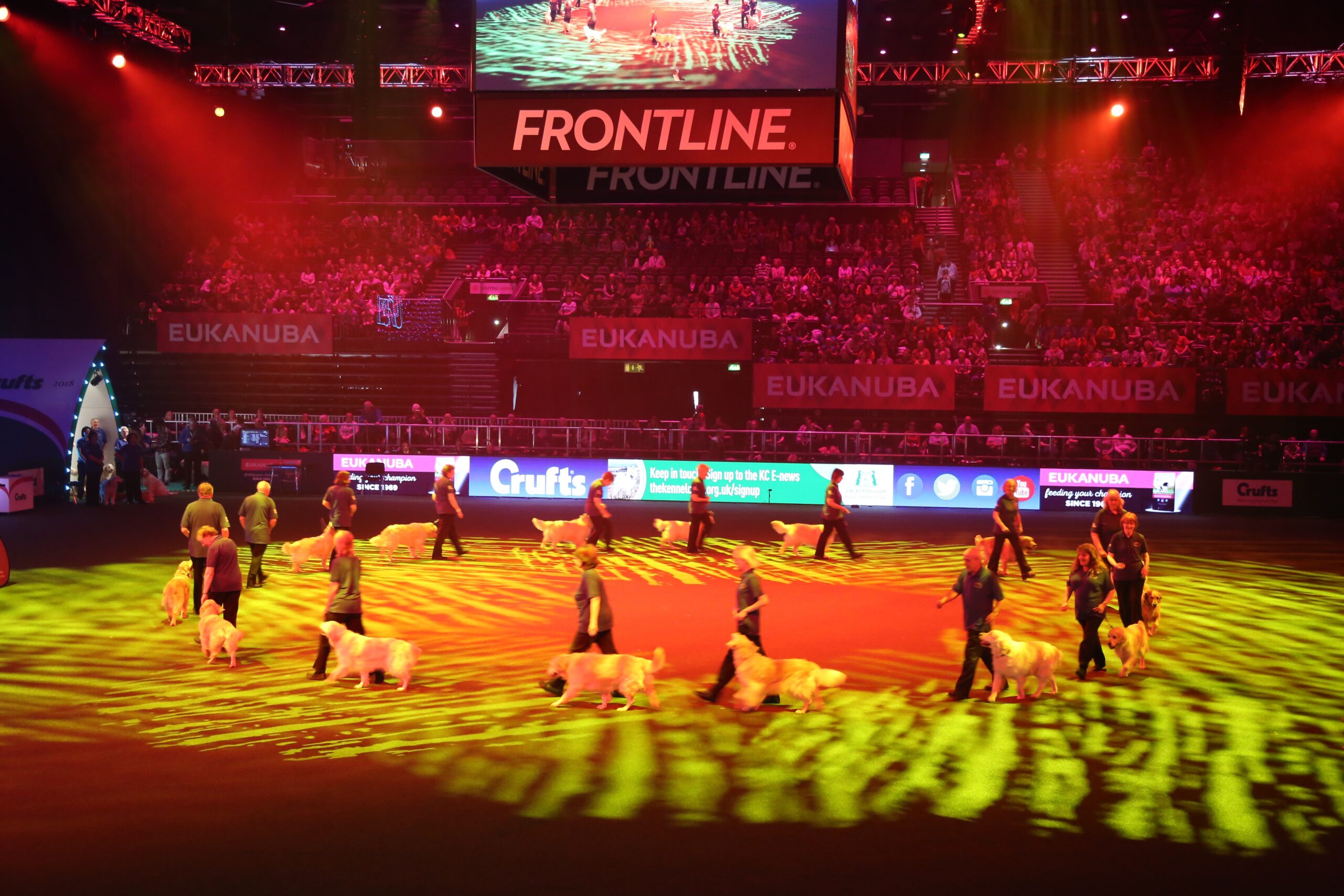 Barking Up a Storm: Inside the World's Biggest Dog Show