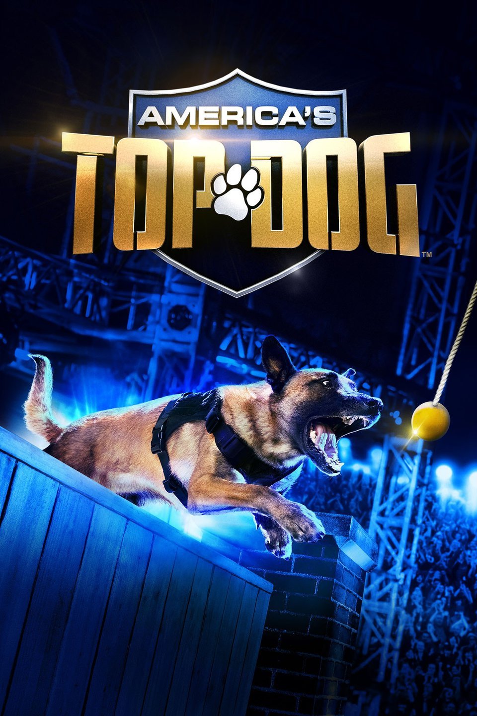 The Top Dog in Show: Unleashing the Champion Within - Dog Show TV