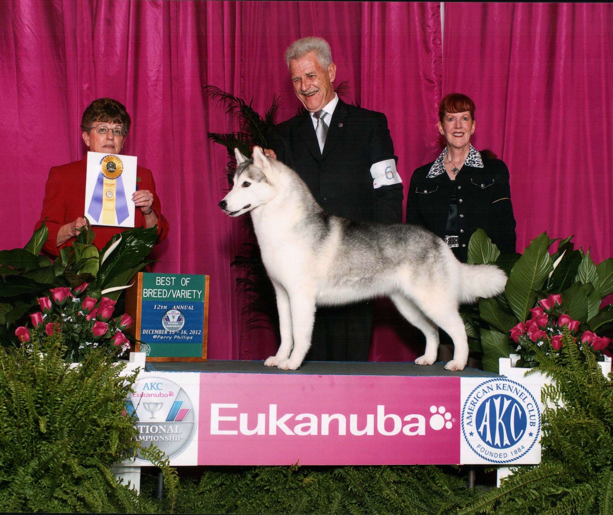 Husky Takes the Westminster Dog Show by Storm - Dog Show TV