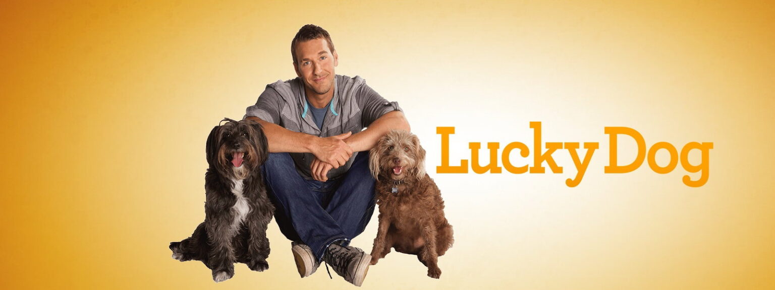 Lucky Dog TV Show CBS: Your Ultimate Guide to this Paw-some Series! - Dog Show TV