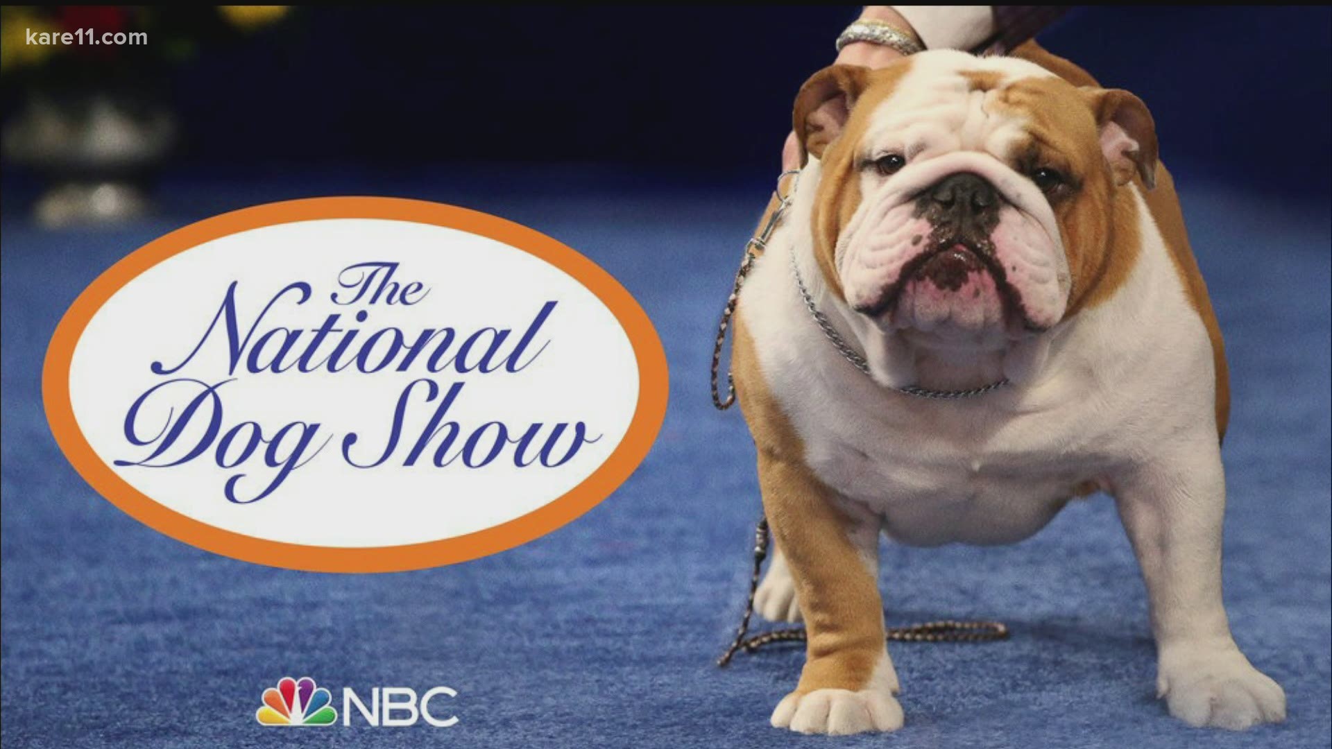 Barksgiving Spectacular: Dog Show Thanksgiving Day Extravaganza! - Dog ...