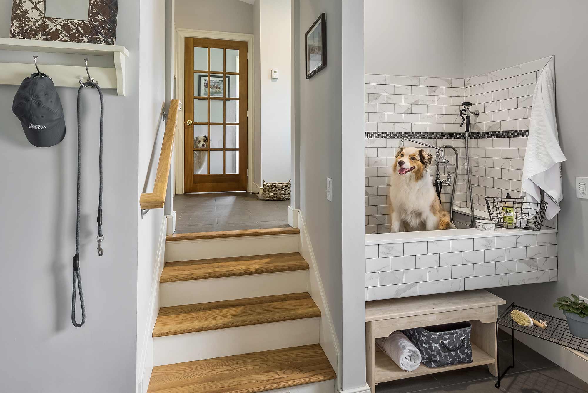 Splish-Splash: The Ultimate Guide to Creating a Home Dog Shower Station ...