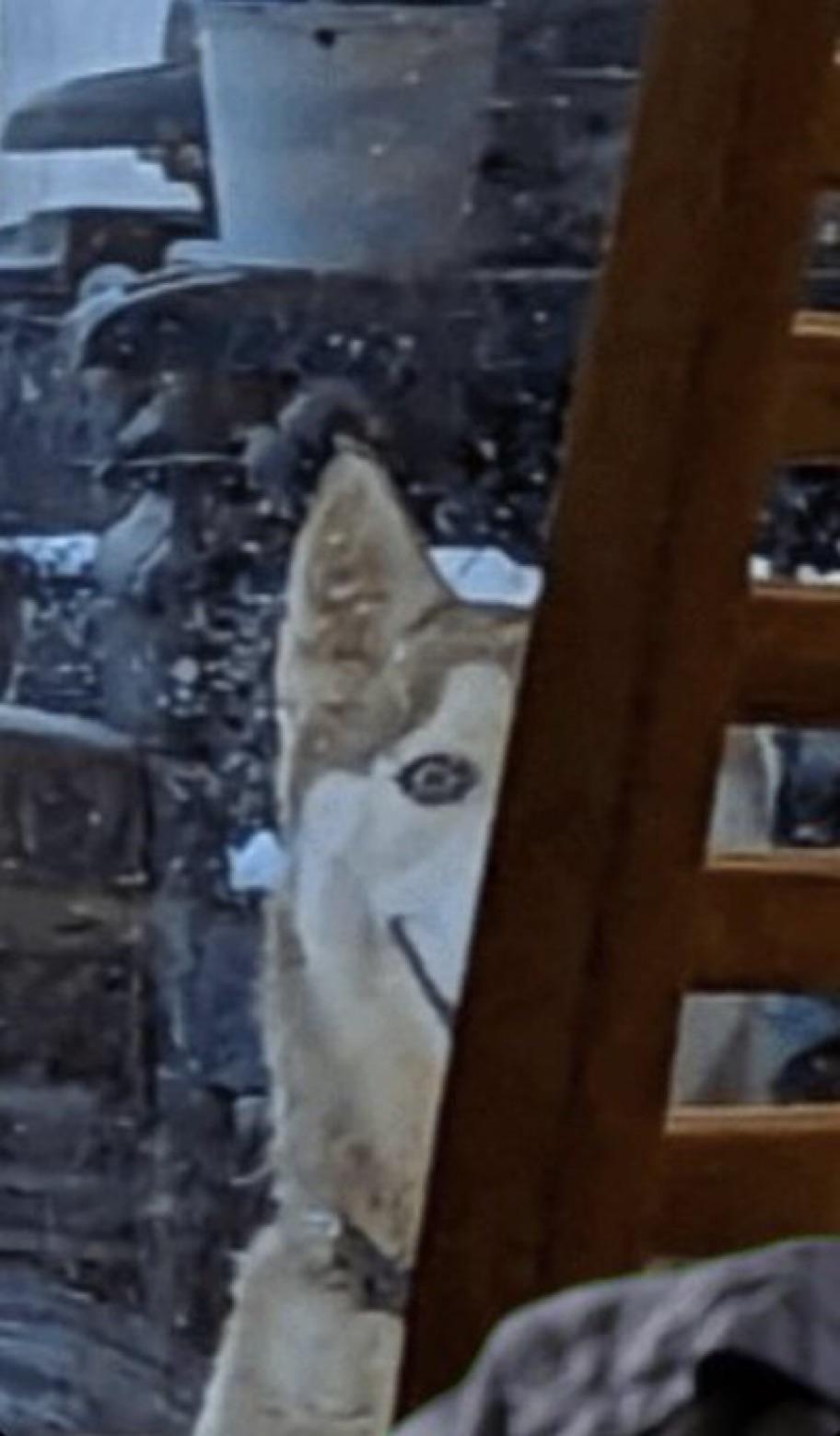 Unveiling the Mystery: Show Me a Picture of Smile Dog - Dog Show TV