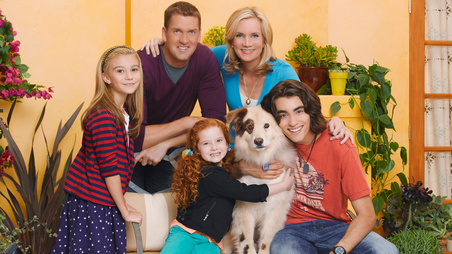 Unleashing the Magic: Talking Dog Show on Disney Channel - Dog Show TV