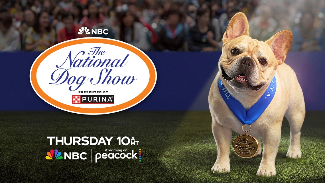 Bark-worthy Entertainment: Watch the National Dog Show Live! - Dog Show TV