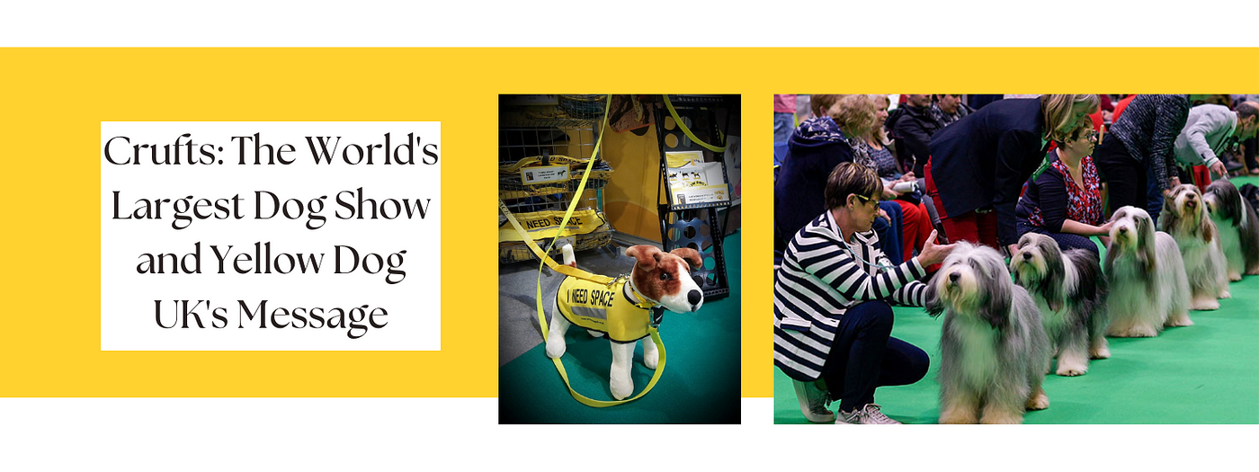 The Ultimate Guide to the World's Largest Dog Show! - Dog Show TV