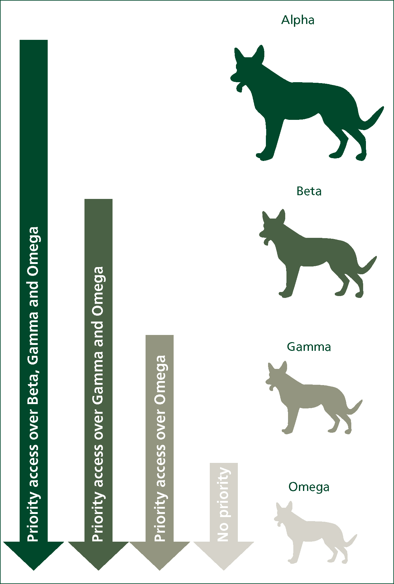 Unleash the Alpha: How to Show Your Dog Dominance - Dog Show TV