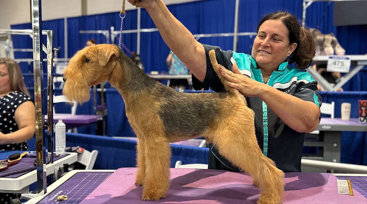 Perry GA Dog Show 2025: The Ultimate Canine Extravaganza Unleashed ...