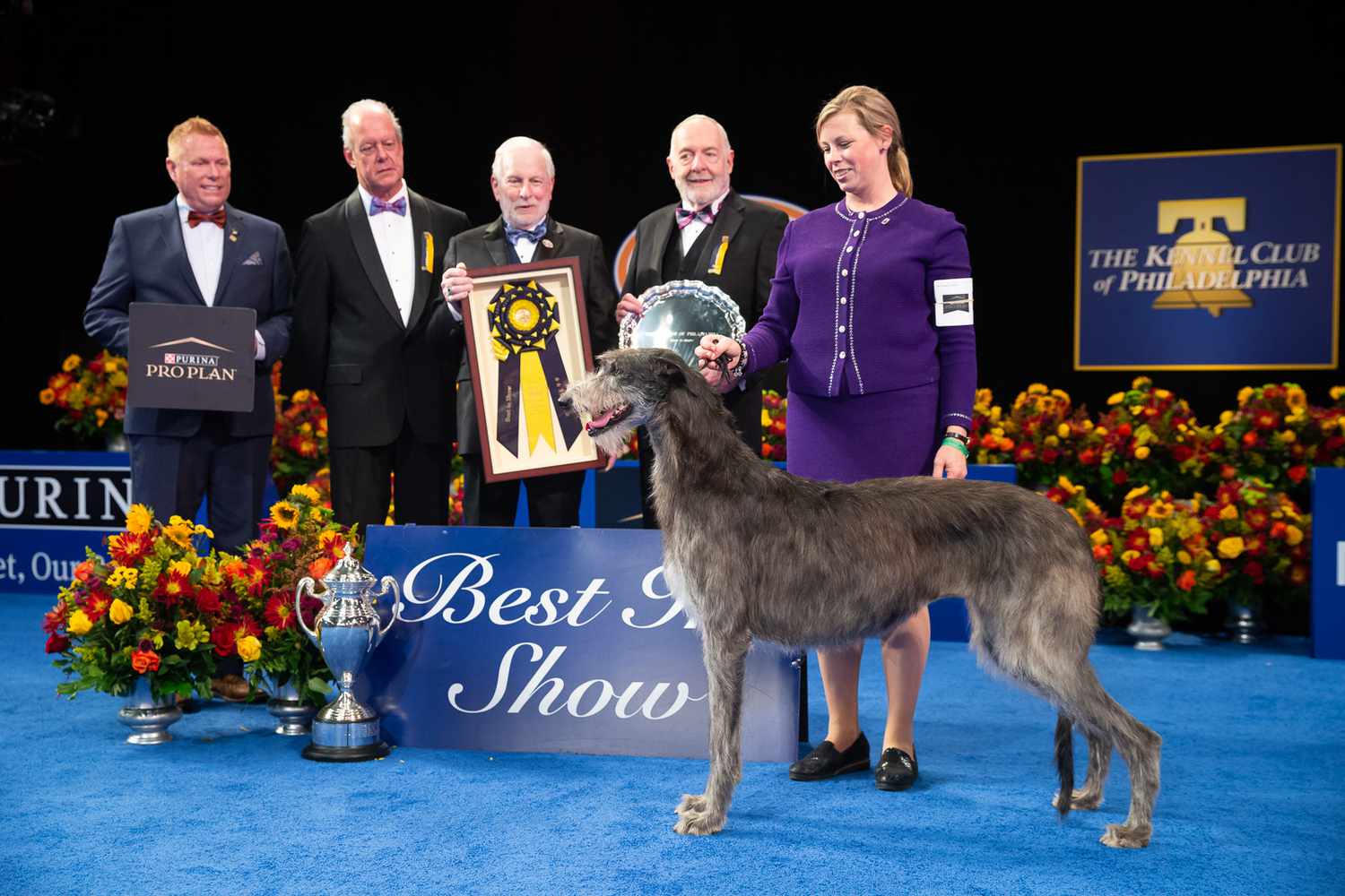 The Remarkable World of Show Dog Winners: Unveiling the Canine ...