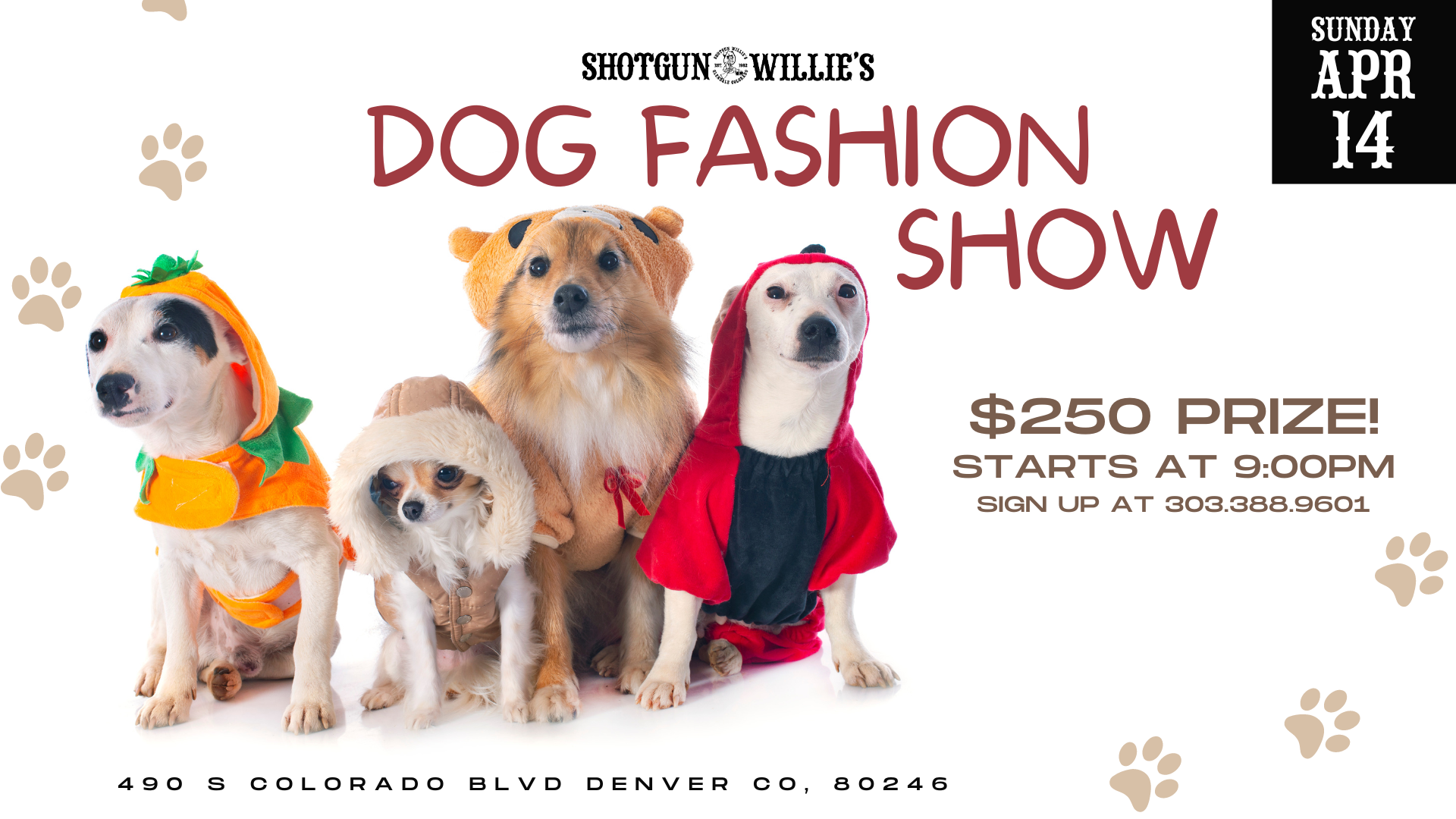 Barking Success: Unleashing the Excitement of the Dog Show Denver CO ...