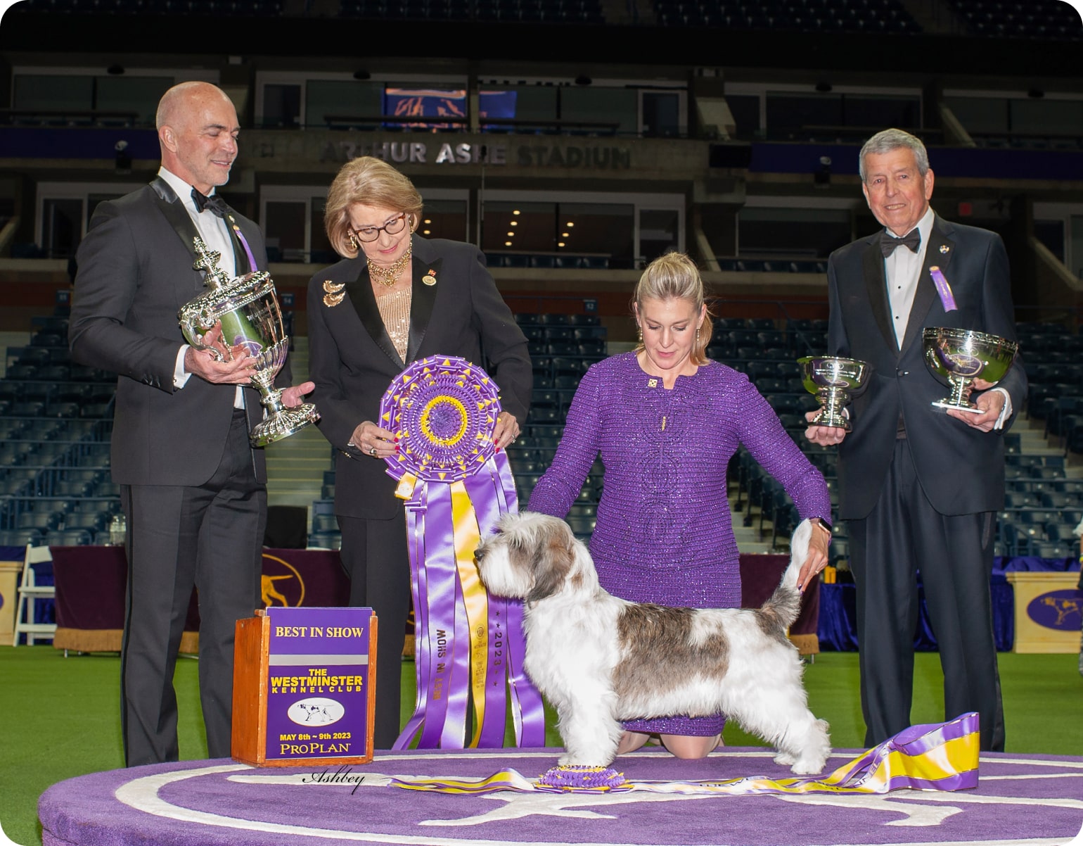 The Unleashed Champion: Winner of the 2025 Westminster Dog Show - Dog ...