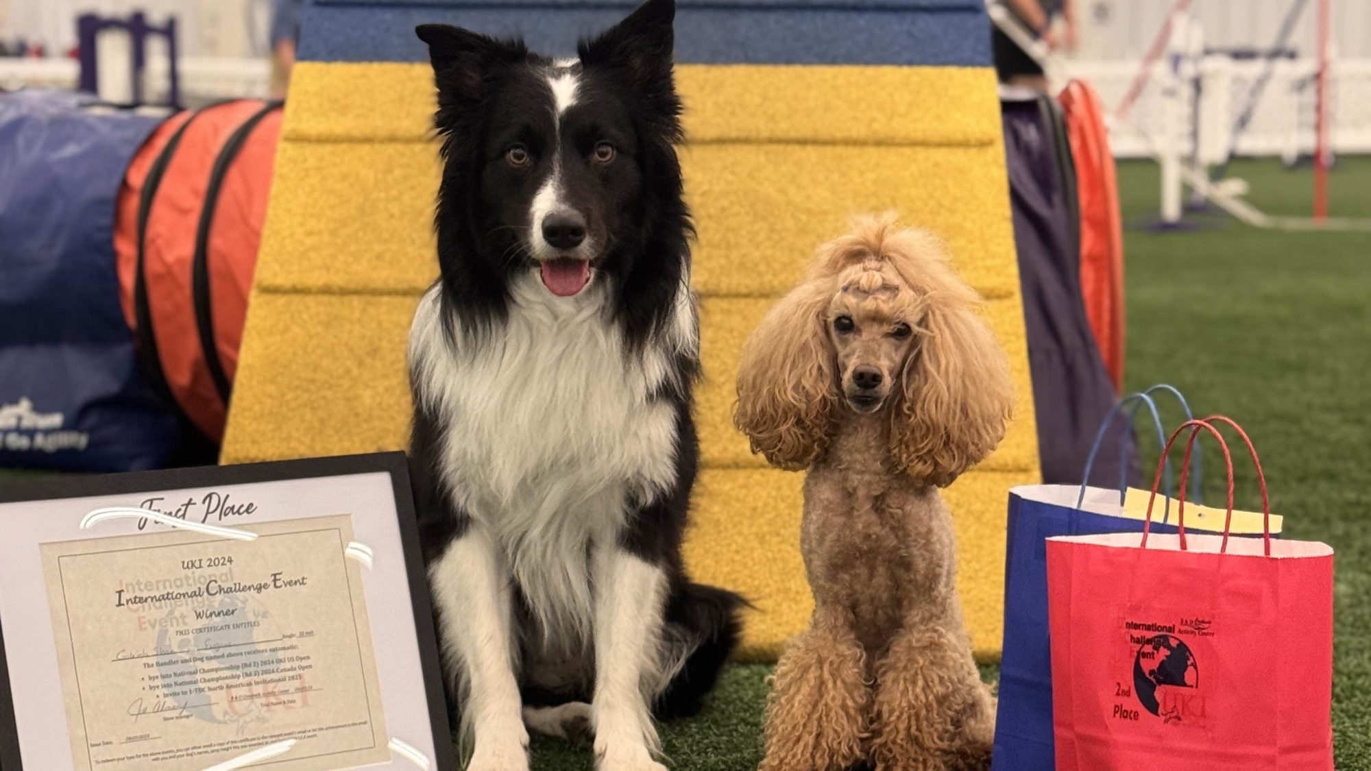 The Countdown Begins: 2025 National Dog Show Highlights and Winners ...