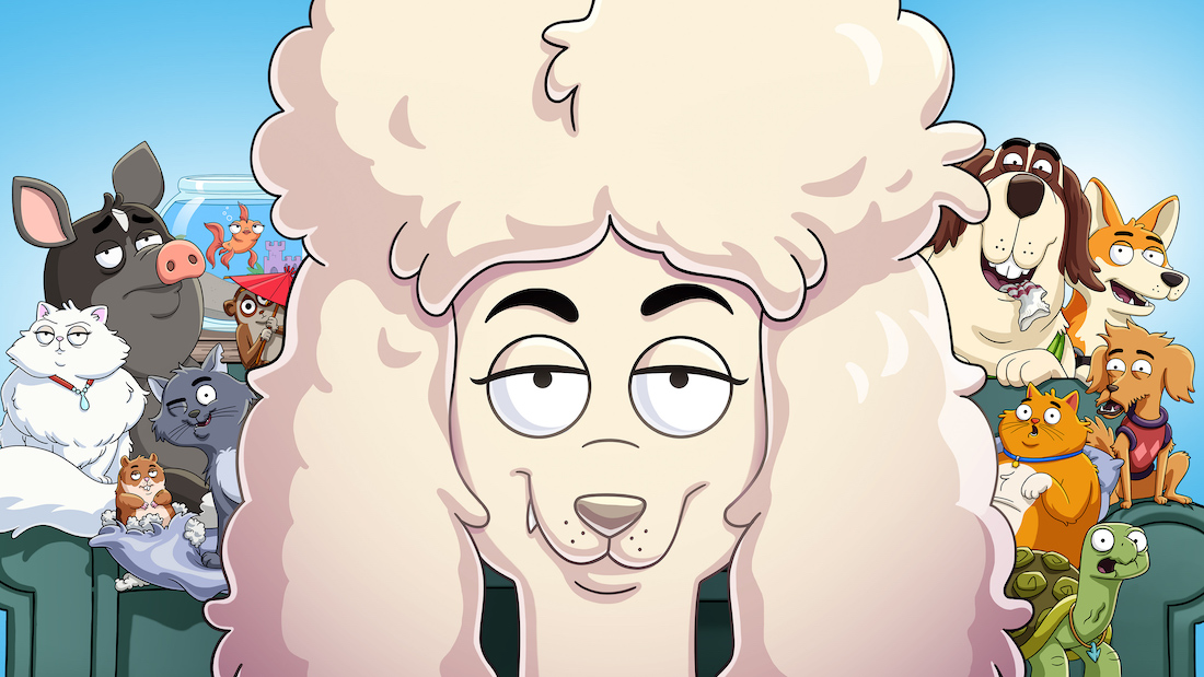The Ultimate Guide to the Animated Dog Show Craze - Dog Show TV