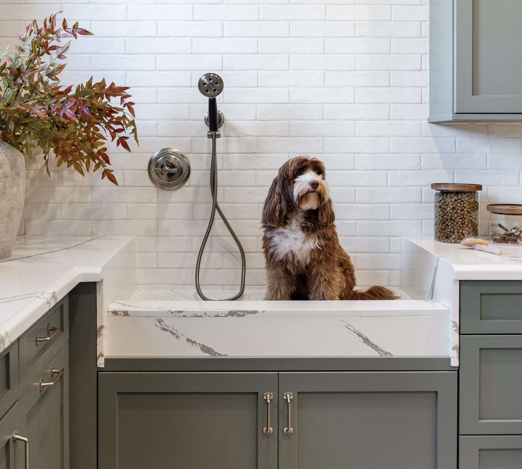 Ultimate Convenience: Discover the Benefits of a Built-In Dog Shower in ...